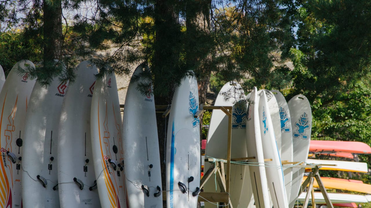 Fornebulandet - Et unikt naturlandskap med høyt biologisk mangfold ...